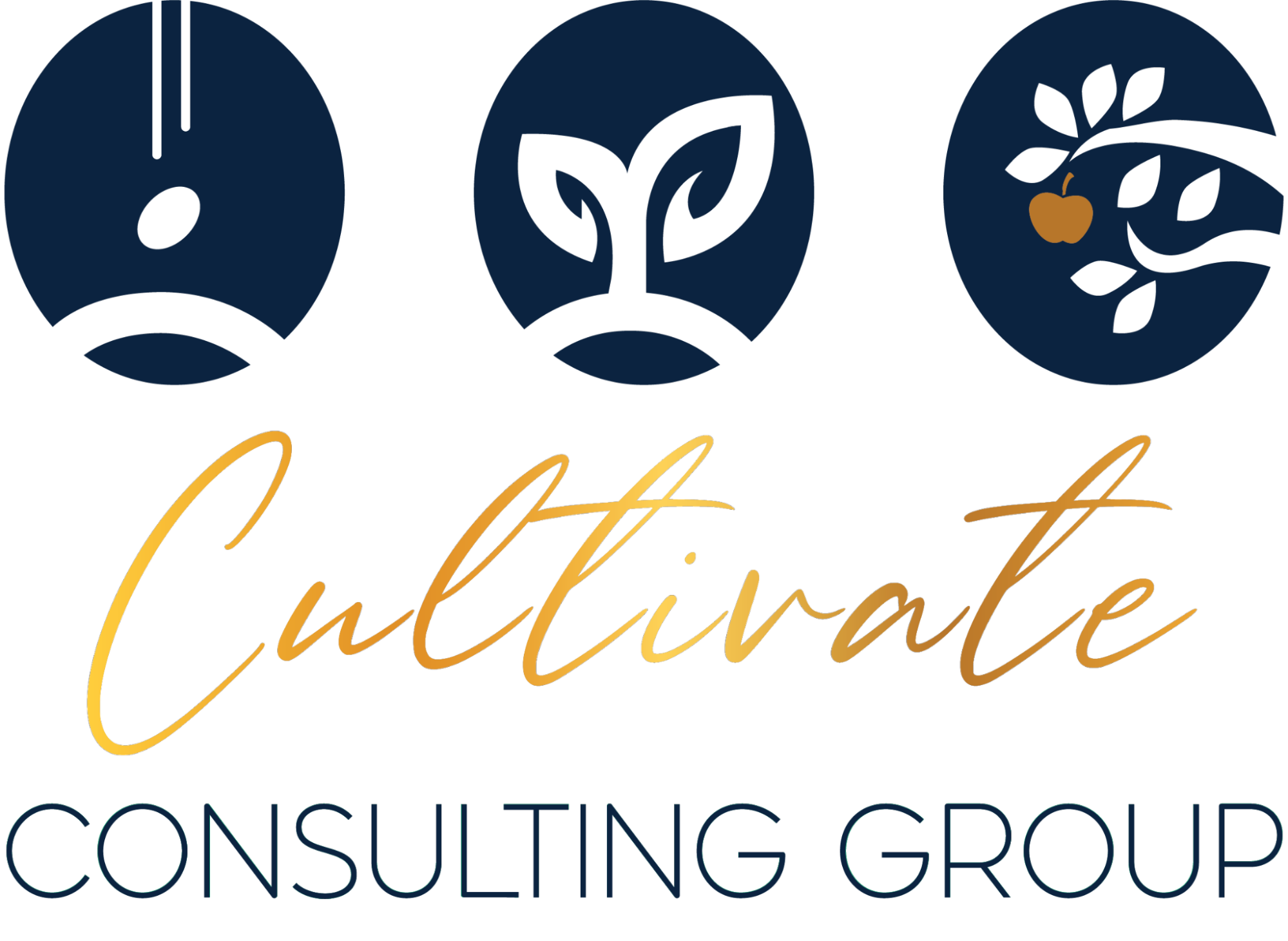 Lori Young-Hayes – Cultivate Consulting Group Lori Young-Hayes – Cultivate Consulting Group